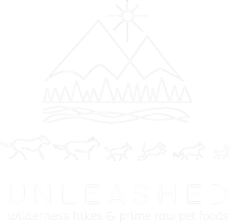 UNLEASHED wilderness hikes & prime raw pet foods – unleashed dog walks ...